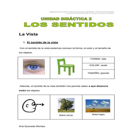 Unidad 2 los sentidos | PDF