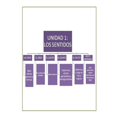 LOS 5 SENTIDOS.pptx