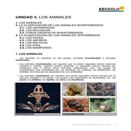 Los Animales | PDF