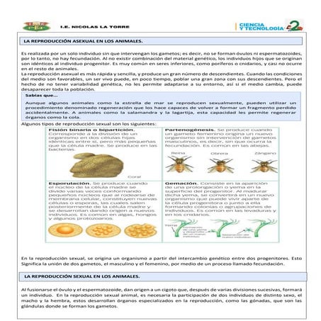 unidad 5 Cómo se reproducen los animales.pdf