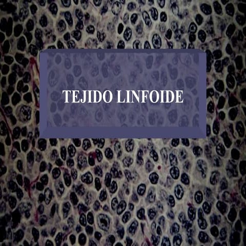Unidad 8 tejido linfoide | PPTX