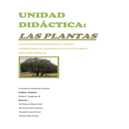 Unidad Didáctica-!Que bonitas las plantas! | DOC