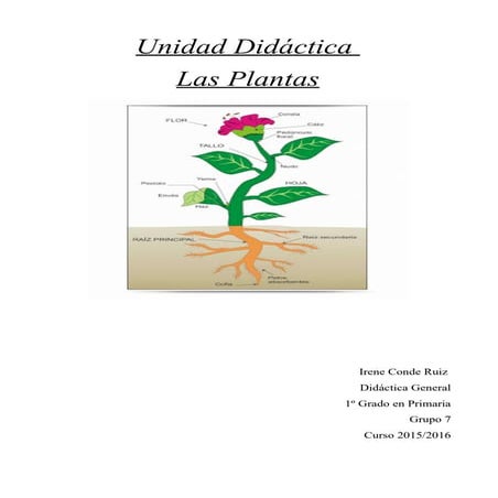 Unidad didactica las plantas | PDF