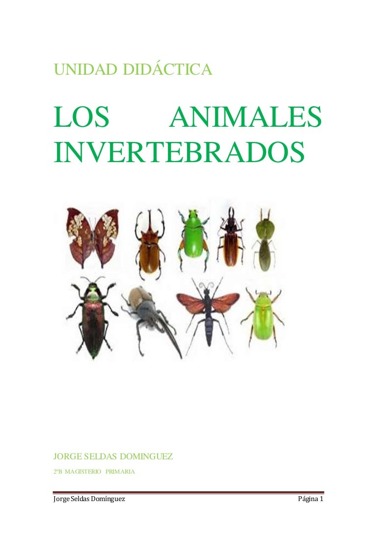 Unidad Didáctica Los Animales – Unidad didáctica: La granja – VJIPHE