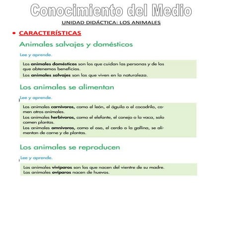 Unidad didáctica los animales | DOCX
