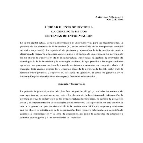 Ensayo. Gerencia y Supervisión, psm valencia Pedro Castillo | DOCX