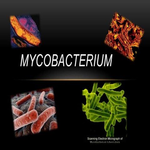Mycobacterium tuberculosis(Microbiology) | PPTX
