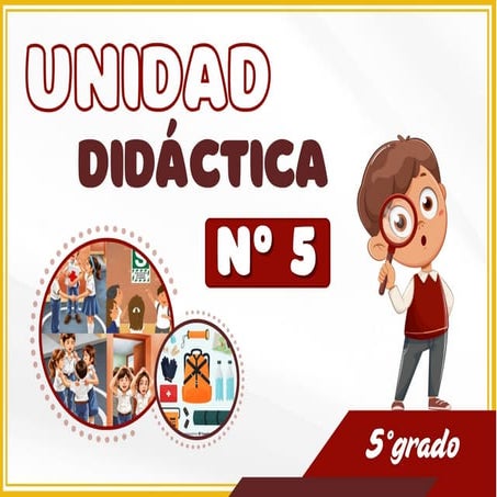 Unidad N°5 - 5to grado.pdf didáctica 5to | PDF