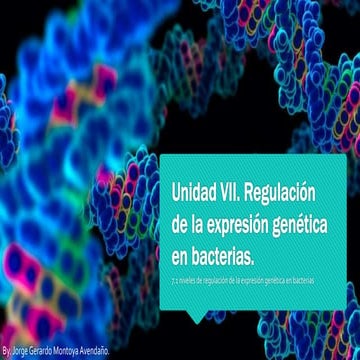 Niveles de regulación genética en bacterias. | PPTX