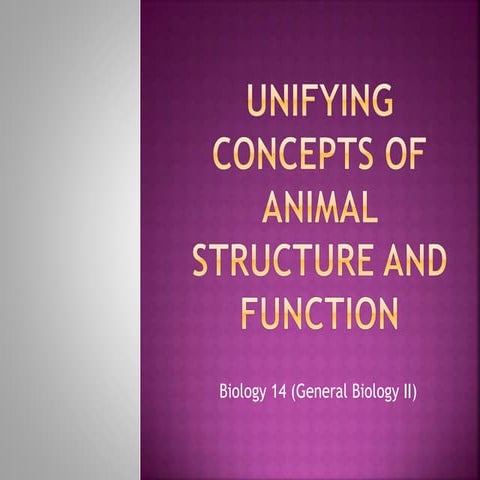 Unifying concepts of animal structure and function | PPTX