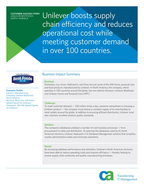 Unilever | DOCX | Computer Software and Applications | Computing