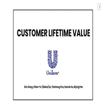 Customer Lifetime Value for Unilever | PDF
