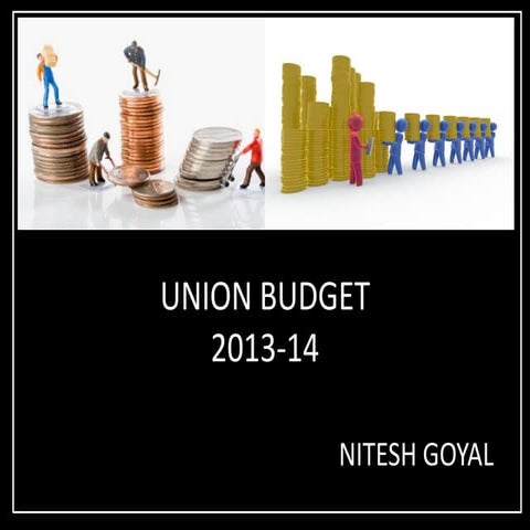Union budget 2013 2014 | PPT