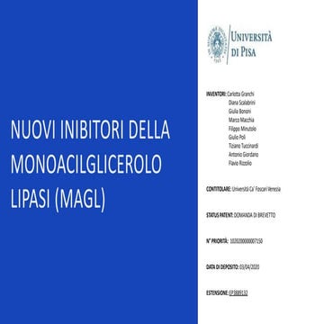 Nuovi inibitori della monoacilglicerolo lipasi (magl) | PPT