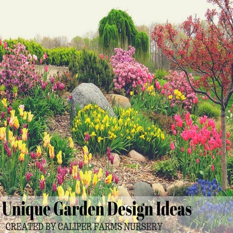 Cool Garden Design