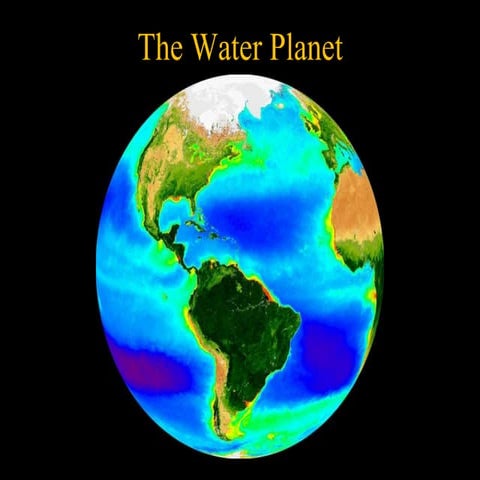Unique properties of water overview | PPTX