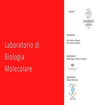 Laboratorio di Biologia Molecolare: le attività | PDF