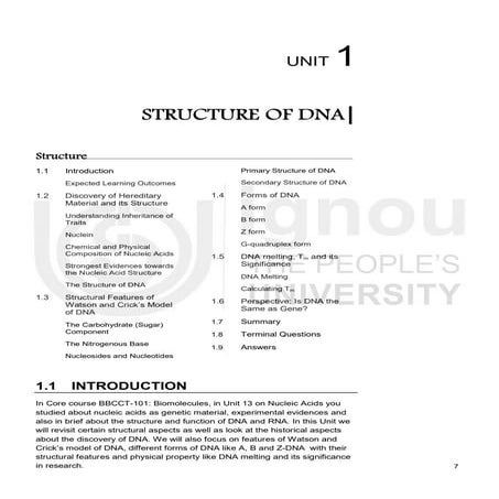 Dna Essay | PDF