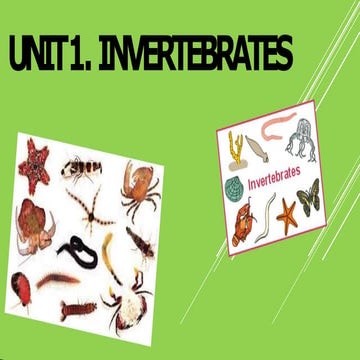 Unit 1-invertebrates summary-converted | PPTX | Biological Sciences ...