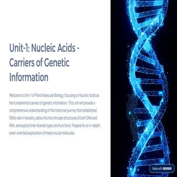 Equitorial regions | PPT
