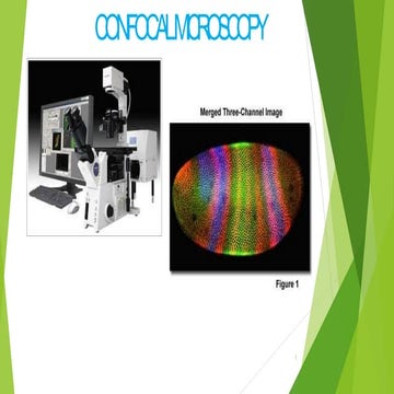Unit 11 Confocal microscopy for education | PPT