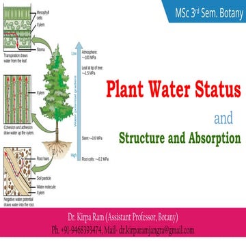 Plant Water Status and role of water by dr. Kirpa Ram | PPTX