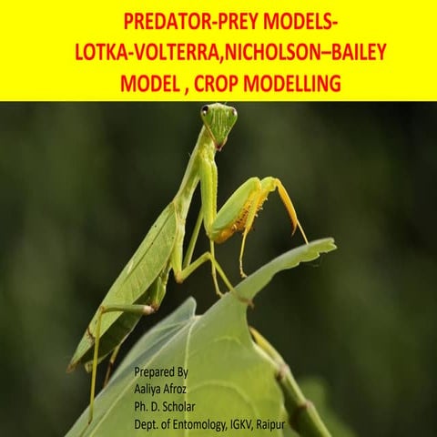 Predator- Prey Models- Lotka Voltera Model, Nicholson- Bailey Model ...