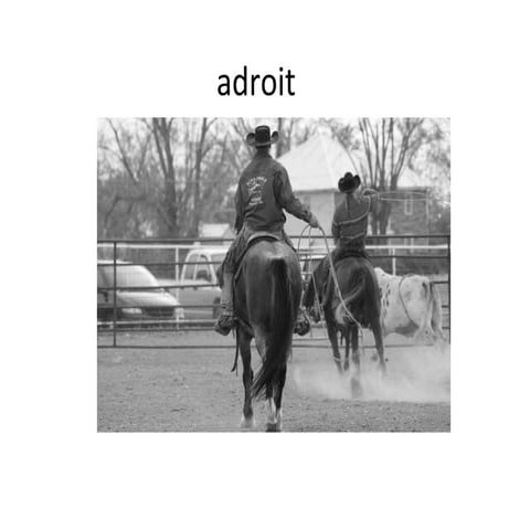 Unit 2, Level E | PPT