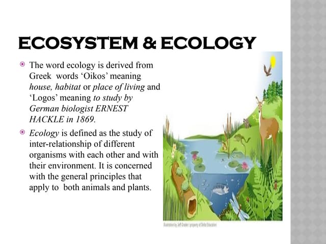 Ch 14 - Ecosystem || Class 12 || | PPTX