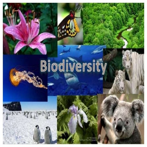 UNIT-2 Biodiversity and Conservation.pdf