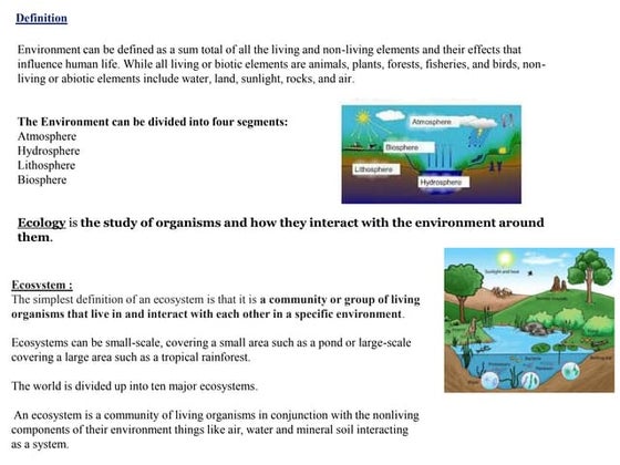 Environment and its components | PPT