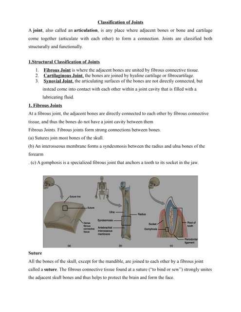 Classification Introduction-to-Joints.pptx