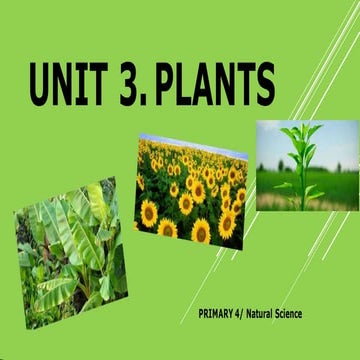 Unit 3-plants-converted | DOCX | Reproductive Health | Diseases and ...