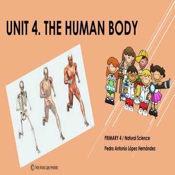 Unit 4-the-human-body | PDF