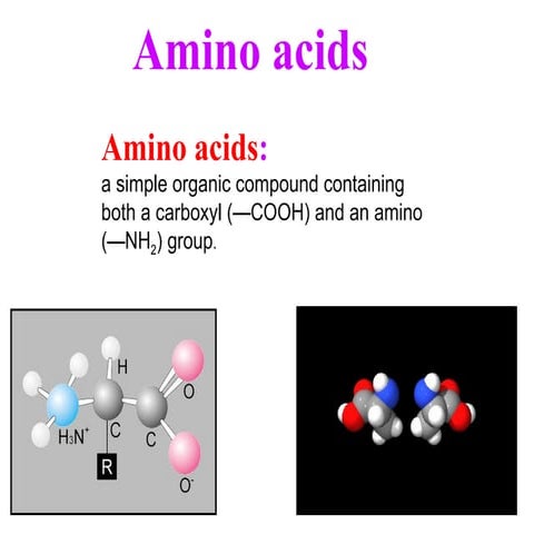 Unit-4 Final Amino acid structure - Copy.ppt