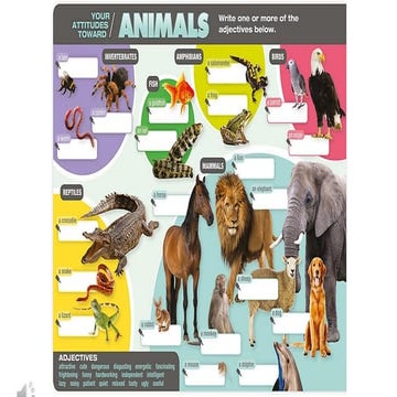 Unit-6-animals-review.pdf