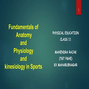 UNIT - 8 Fundamentals of Anatomy and Physiology and Kinesiology in ...