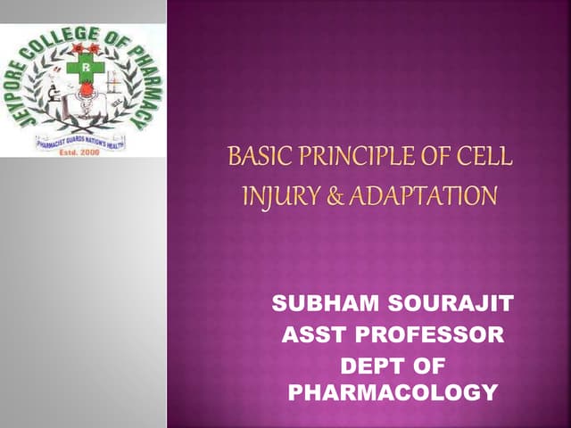 Cortisol Hormone presentation. . ppt | PPTX