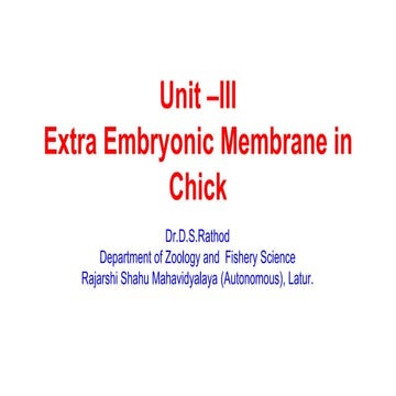 Extra embryonic membranes | PPT
