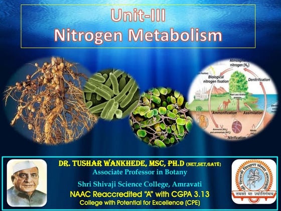 Biochemistry of biological nitrogen fixation | PPT