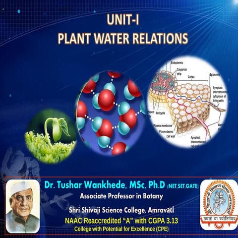 Plant Physiology-Water relations | PDF