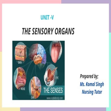 UNIT -V. THE SENSORY ORGANS.pptx,, | PPTX