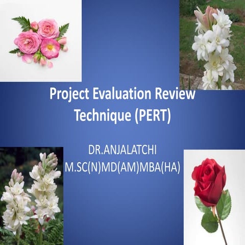 Programme evaluation review technique | PDF