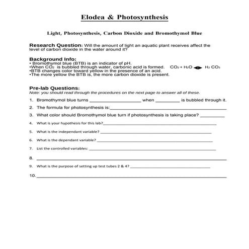 Vernier Photosynthesis Lab #7 | PDF