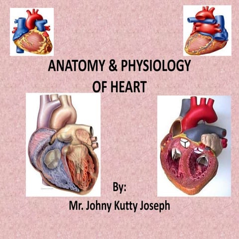 Johny's A&P Structure and Function of Heart | PPT
