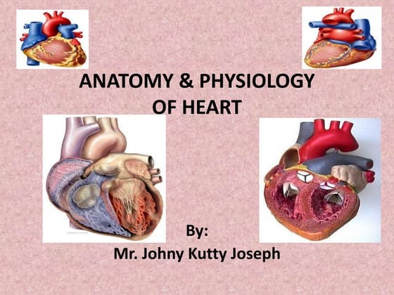 Structure and function of heart by Shashank Bandre Class 10 CBSE | PPTX ...