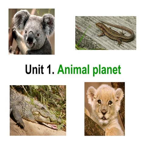 Unit 1 Living organisms | PPT