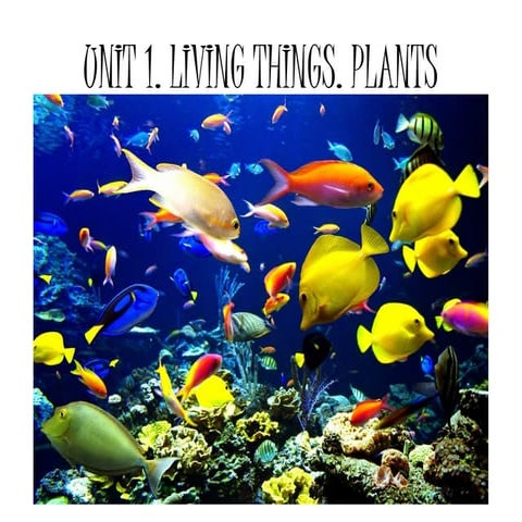 Unit 1. living things | PPT
