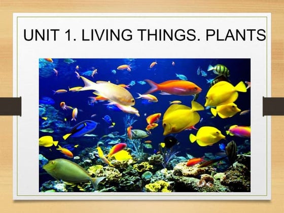 Living And Non - Living Things | PPTX | Biological Sciences | Science