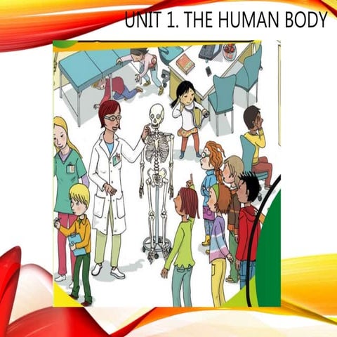 Unit 1. human body 3primaria | PPT